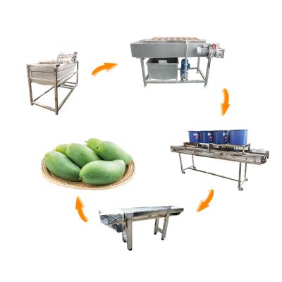 China Hot selling Factory Direct Fruit And Vigitable Washing Machine by Huafood for sale