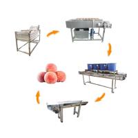 China Hot selling Agriculture Industrial Food Drying Treatment Line by Huafood for sale
