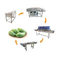 China Hot selling Ozone Fruit And Vegetable Cleaning Machine With Best Prices by Huafood for sale