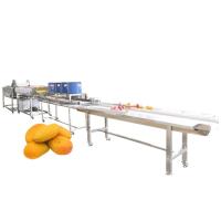 China Hot selling Fruit Washing Machine Vegetable Bubble Washer Manufacture by Huafood for sale