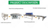 China Hot selling China Factory Seller Fruit And Vegetable Purifier Washer by Huafood for sale