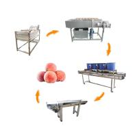China Hot selling Fruit Washing Machine And Inspection With High Quality by Huafood for sale
