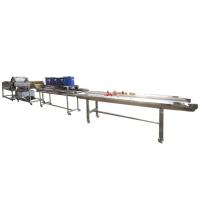 China Hot selling Factory Direct Price Hot Sale 2023 Vegetables Washer by Huafood for sale