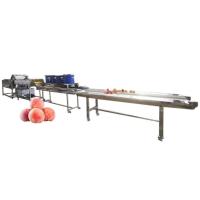 China Hot selling Top Quality Fruit And Vegetable Ion Washing Machine by Huafood for sale