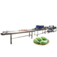 China Hot selling Dried Fruit Washing Drying Packingproduction Line by Huafood for sale