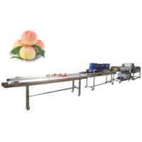 China Hot selling Vegetable Washer Machine Fruit With Lowest Price by Huafood for sale