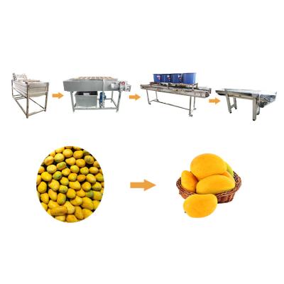 China Hot selling Vegetable Washer Conveyor Belt With Lowest Price by Huafood for sale
