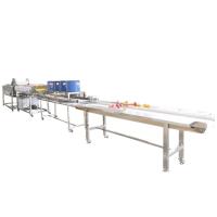 China Hot selling Fruit Washing Line Fruit And Vegetable Cleaning by Huafood for sale