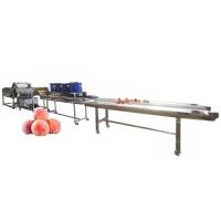 China Hot selling Ozone Water Washer Vegetable And Fruit Purifier by Huafood for sale