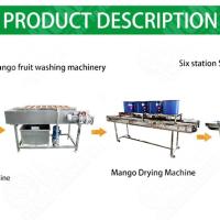 China Vegetable Cleaning And Polishing Machine Fruit Vegetable Washing Machine Dates Cleaning Machine for sale
