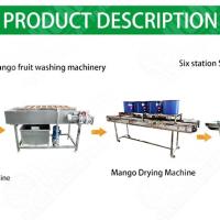 China Green Leaves Vegetable Washing Machine Orange Potato Washing Machine Frozen Fruit Line for sale