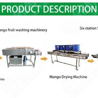 China Fruit Washing Cleaning Production Line Bubble Washing Production Line Cherry Washing Line for sale