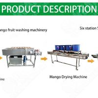 China Water Recycle Strawberry Washing Machine Commercial Vegetable Dry Machine Fruit Washing Machines for sale