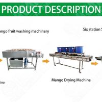 China Cleaning Machine Line Fruits And Vegetable Frozen Vegetables And Fruits Line Apricot Processing Line for sale