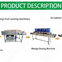 China Fruit And Vegetable Bubble Cleaning Machine Avocado Washing And Cleaning Line Cleaning And Drying Line for sale