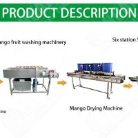 China Automatic Snack Food Machine Production Line Fruit Washing And Sorting Machine Dry Dates Washing Machine for sale