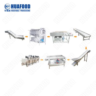 China Commercial Root Washer Fruit Washing Machine Fruit And Vegetable Freezing Line Damage-free Cleaning Line for sale
