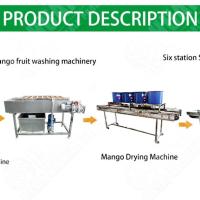 China Packaging Cleaning And Drying Production Line Food Dehydrator Machine Industrial Dates Processing Machinery for sale