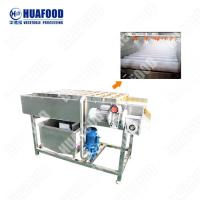 China Pineapple Peeler Stainless Steel Citrus Juicer Vegetable Cleaning Production Line Industrial Washing Machine for sale