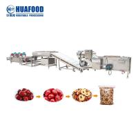 China Vegetable Processing Equipment Washing Machine Fruit Washing Machine Cleaning Line Vegetables Production Line for sale