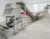 China French fries production line automatically frying potato chips machine for sale