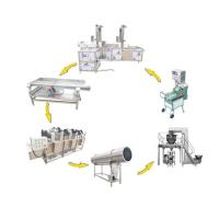 China Industrial Plantain Chips Making Machine 200kg/h Banana Chips Equipment Frying Production Line for sale