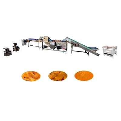 China Saudi Arabian Ginger Root Extract Powder Machine Appliance for sale