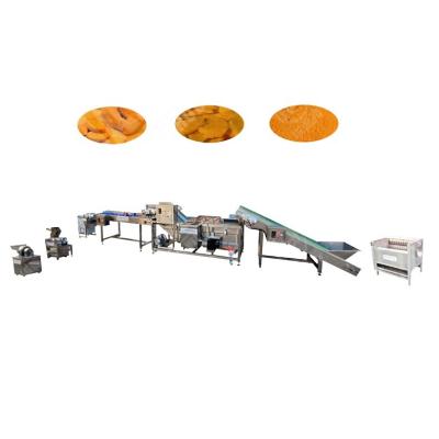 China Qatari Ginger Dry Rhizome Grain Mills for sale