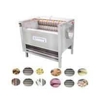China Oyster pumpkin cleaning equipment turmeric prickly pear washing machine for sale