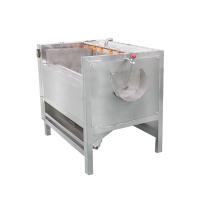 China Oyster pumpkin cleaning equipment turmeric prickly pear washing machine for sale