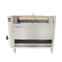 China Oyster pumpkin cleaning equipment turmeric prickly pear washing machine for sale