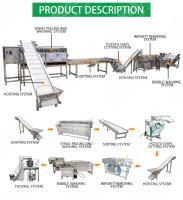 China Industrial OEM Automatic Brush type Potato Washing and peeling Processing Line for sale