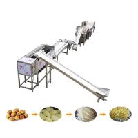 China Potato Chips Machinery Production Line Food Processing Line Fried Food Production Line for sale
