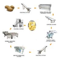 China Automatic Mini Fingers Potato Chips Production Line Frozen French Fries Making Machine for sale