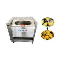 China Industrial french fries production line potato washing and peeling machine for sale