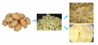 China Potato and carrot peeling, slicing and shredding machine for sale