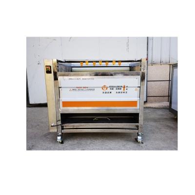 China New Brush Cleaning Machine Ce for sale