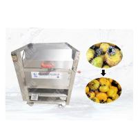 China Special Offer Discount Carrot Ginger Peeler Washing Peeling Cleaning Machine Portable for sale