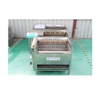 China High Capacity Oyster Sea Cucumber Scallop Shell Washer Cleaning Equipment Cheap for sale