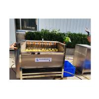 China High Capacity Oyster Sea Cucumber Scallop Shell Washer Cleaning Equipment Cheap for sale