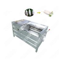 China New Design High Quality Fruit Vegetable Brush Washing Machine Sweet Potato Peeler Appliances for sale