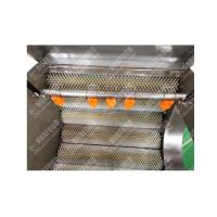 China Factory Food Industry Brush Cleaning Machine Dezhou for sale