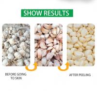 China 1000Kg/H Commercial Chain Garlic Peeler High Capacity Garlic Peeling Machine for sale