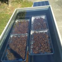 China New Design Large Capacity Drying Machinery Fresh Fruit Food Dehydrator With Great Price for sale