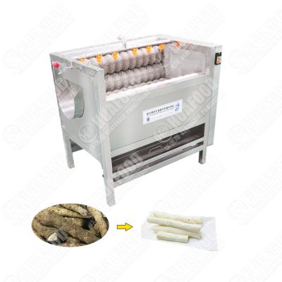 China Professional Brushing Cleaning Ginger Washing Peeling Machine Automatic Brush Washing Machines With Low Price for sale