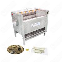 China Long Service Life Potato Taro Brush Roll Washing And Peeling Machine Vegetable Potato Carrot Washing Machine With CE Certificate for sale