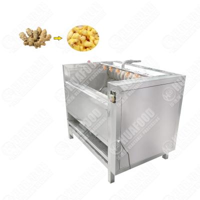 China Hot Selling Palm Dates Brush Cleaning Machine Radish Brush Cleaning Machine With Low Price for sale