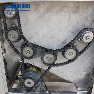 China Brand New Potato Peeler Lettuce Washing And Drying Machine With High Quality for sale