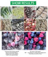 China Plastic Vacuum Freeze Dryer Iqf Freezing Tunnels Made In China for sale