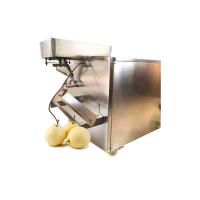 China Multifunctional Peeler Fruit Peach Persimmon Orange Melon Apple Mango Peeling Machine for sale